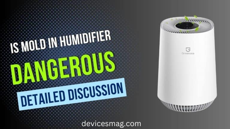 Is Mold in Humidifier Dangerous-Detailed Discussion - Devices Mag