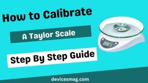 How to Calibrate A Taylor Scale-Step By Step Guide - Devices Mag